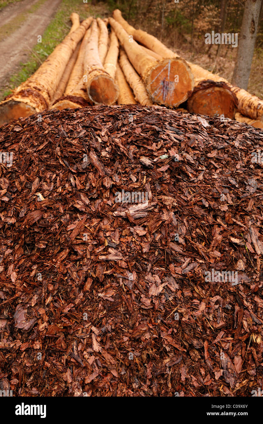 Peeled bark, in the back the peeled spruce logs (Piceoideae) Neunhof ...