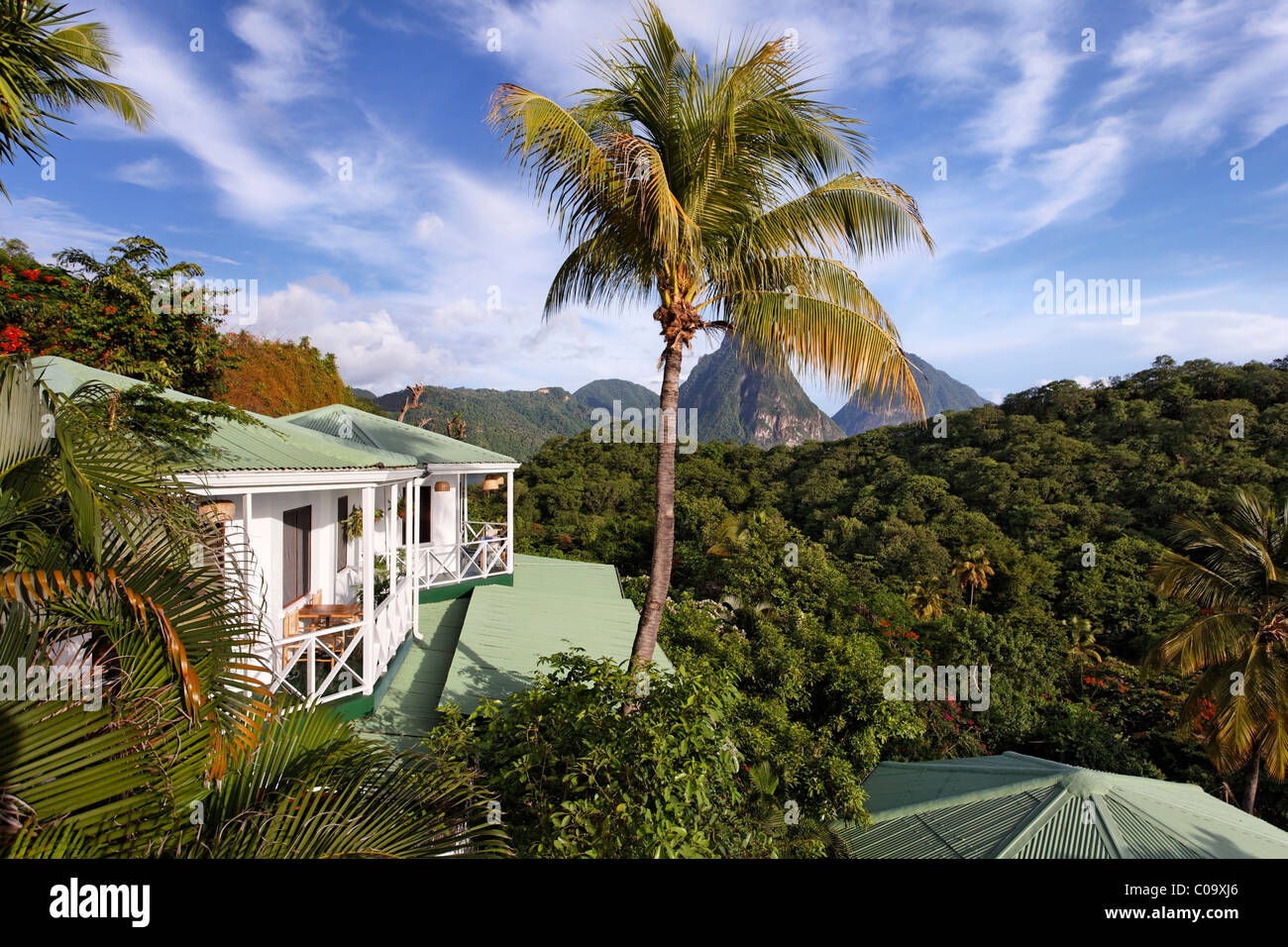Bungalows, palms, view on the Pitons mountains and the rain forest ...
