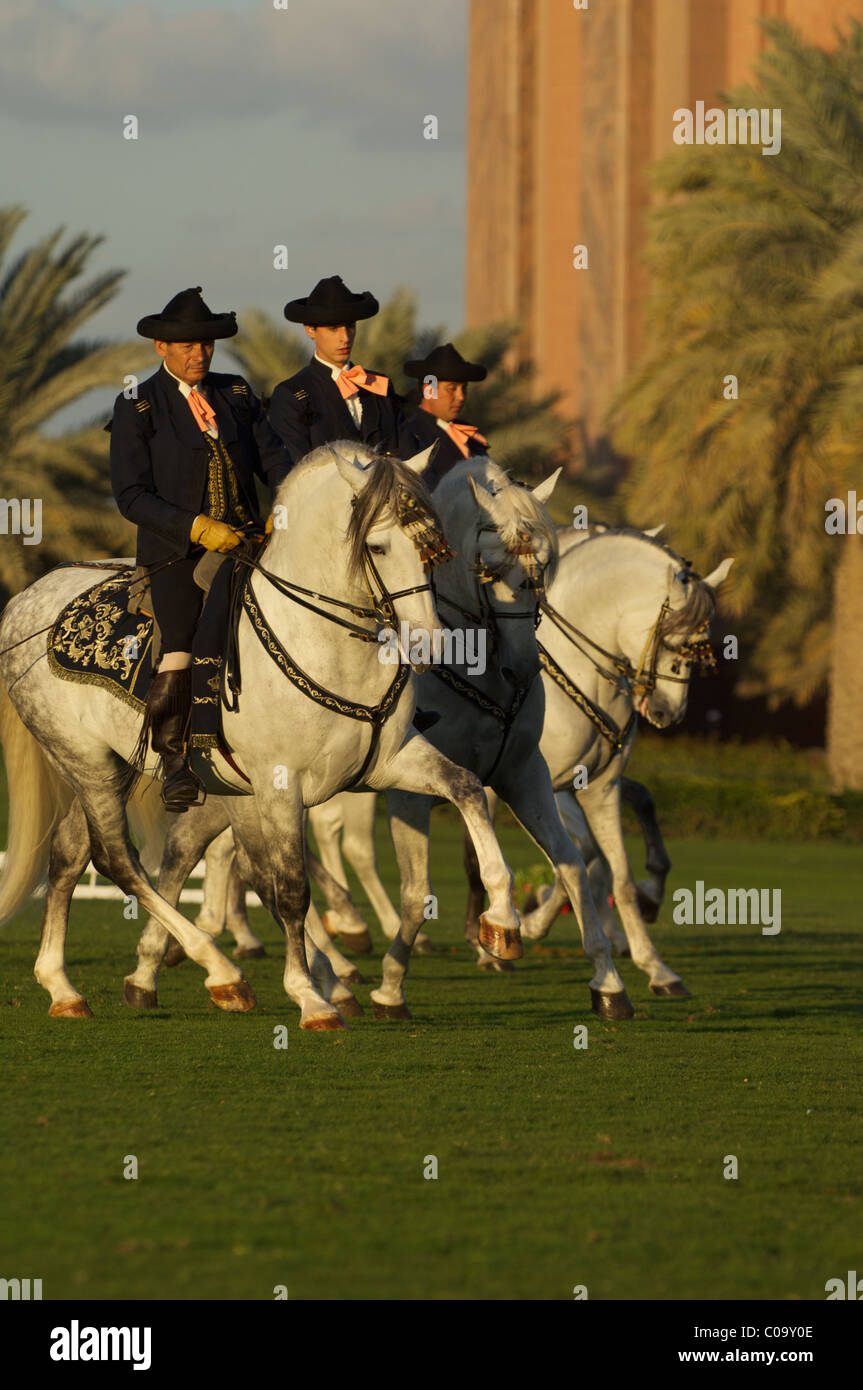 Equestrian show abu dhabi hi-res stock photography and images - Alamy