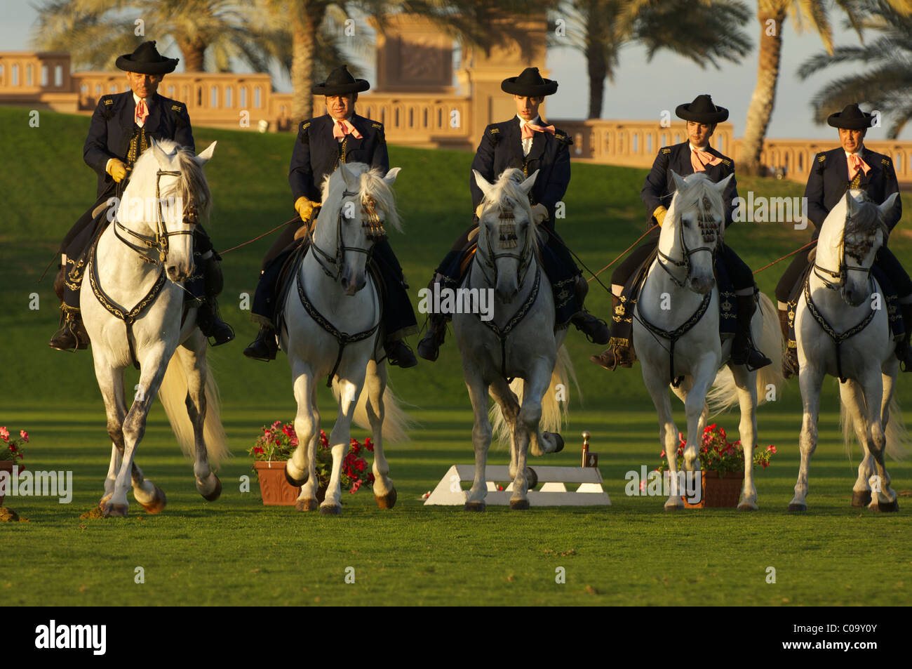 andalusian horses show in emirates palace hotel, abu dhabi, uae Stock ...