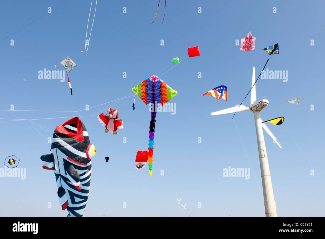 Kite flying gujarat hi-res stock photography and images - Alamy