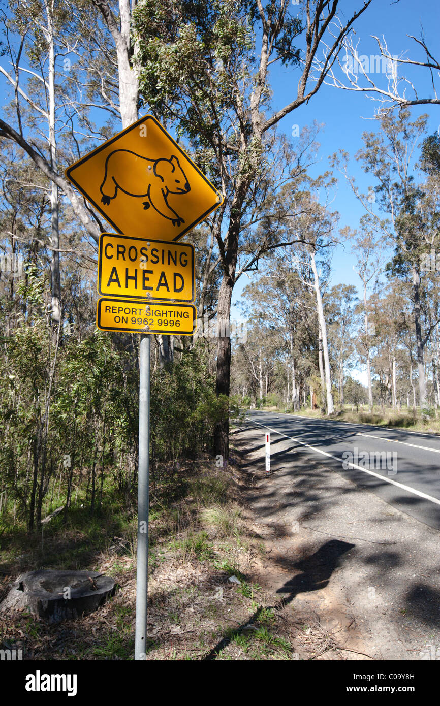 Koala road sign hi-res stock photography and images - Alamy