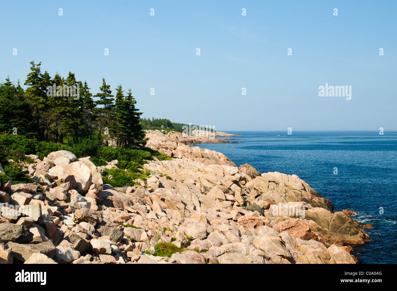 Ocean landscape view with pine trees Stock Photo - Alamy