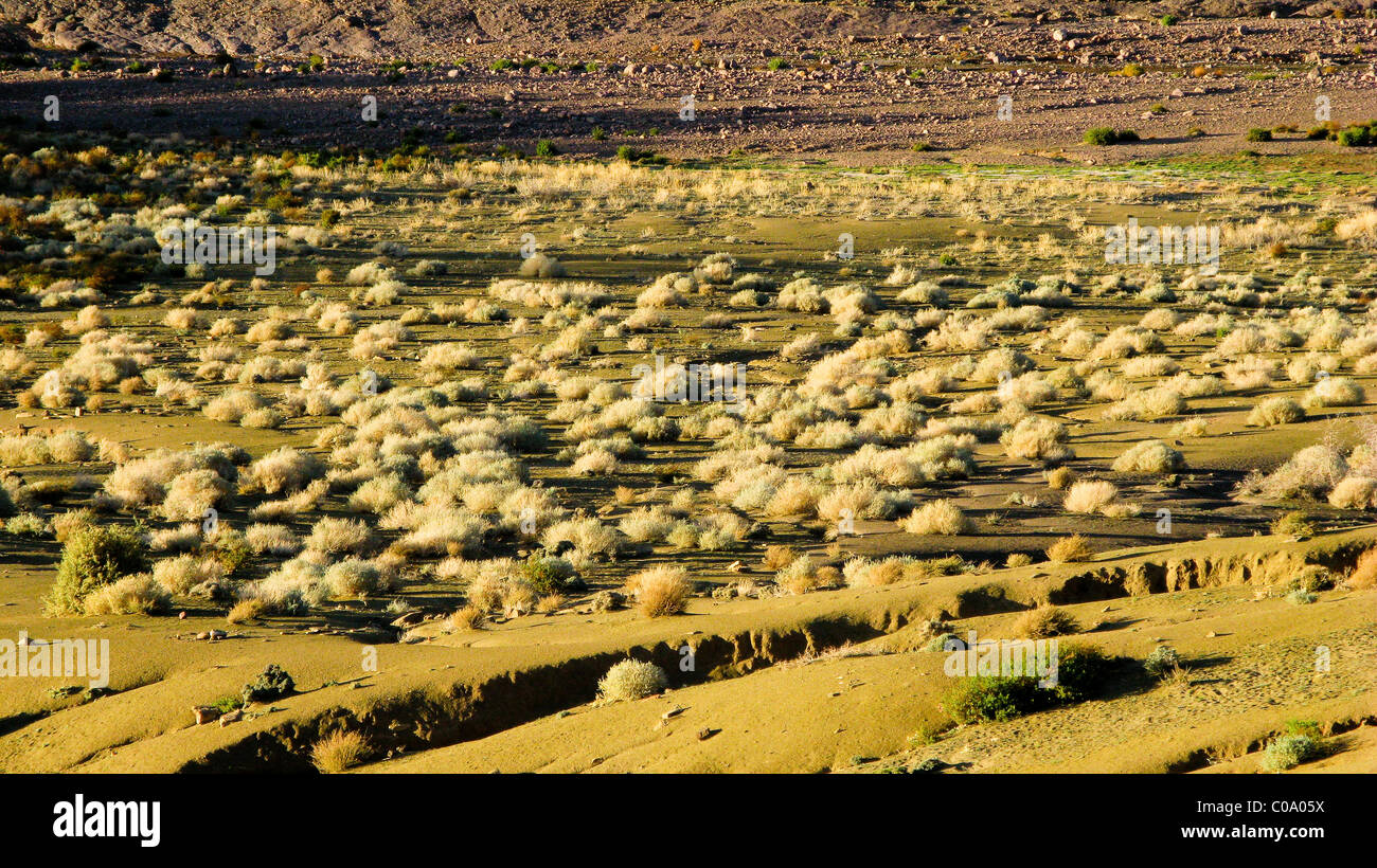 Jebel sahro hi-res stock photography and images - Alamy