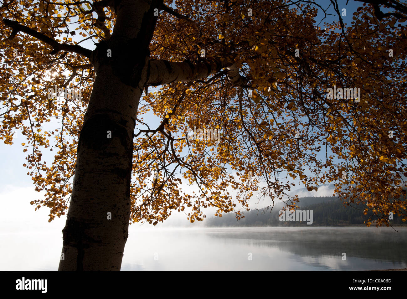 Fall lake background hi-res stock photography and images - Alamy