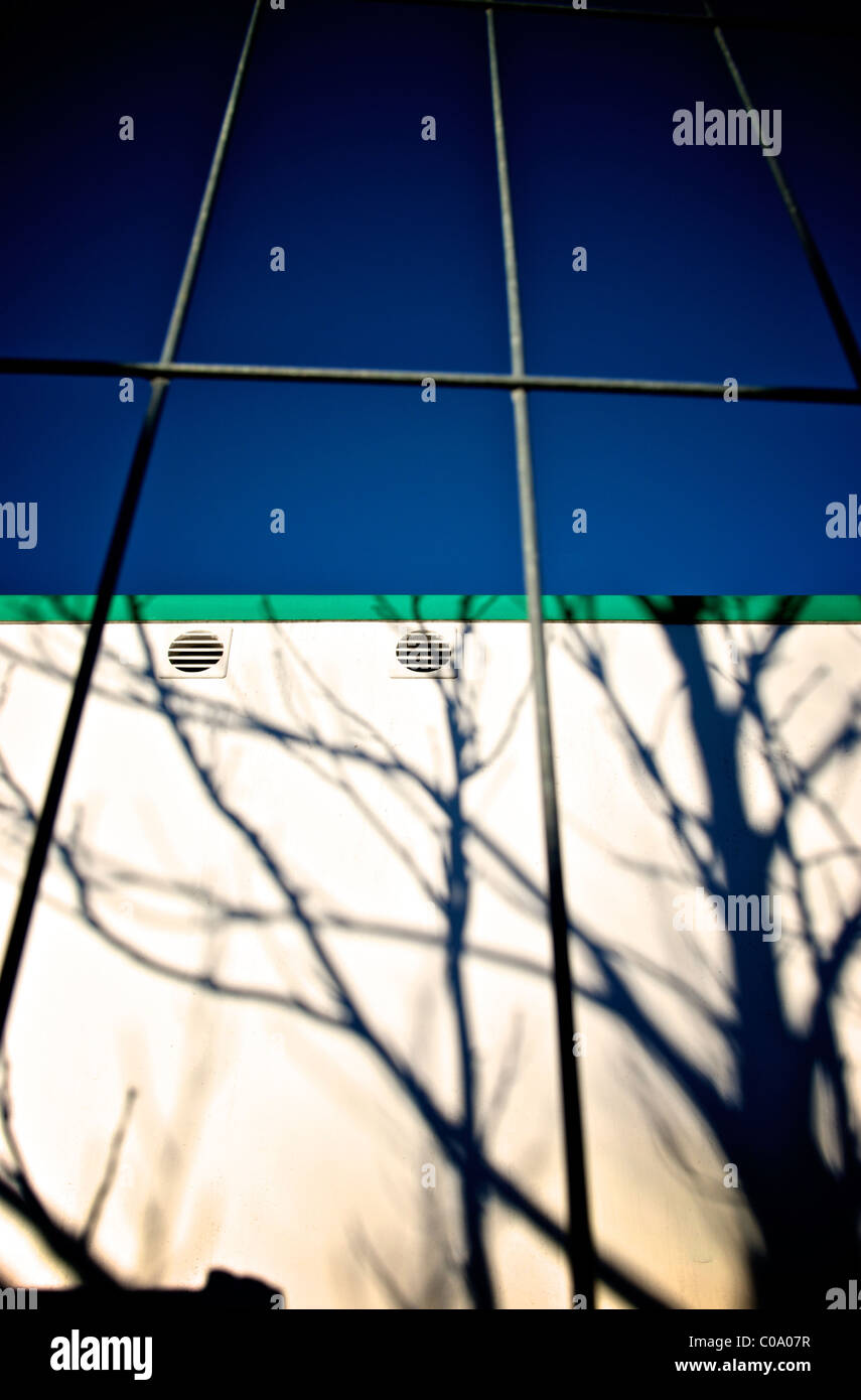 Tree branches fence wall shadow hi-res stock photography and images - Alamy