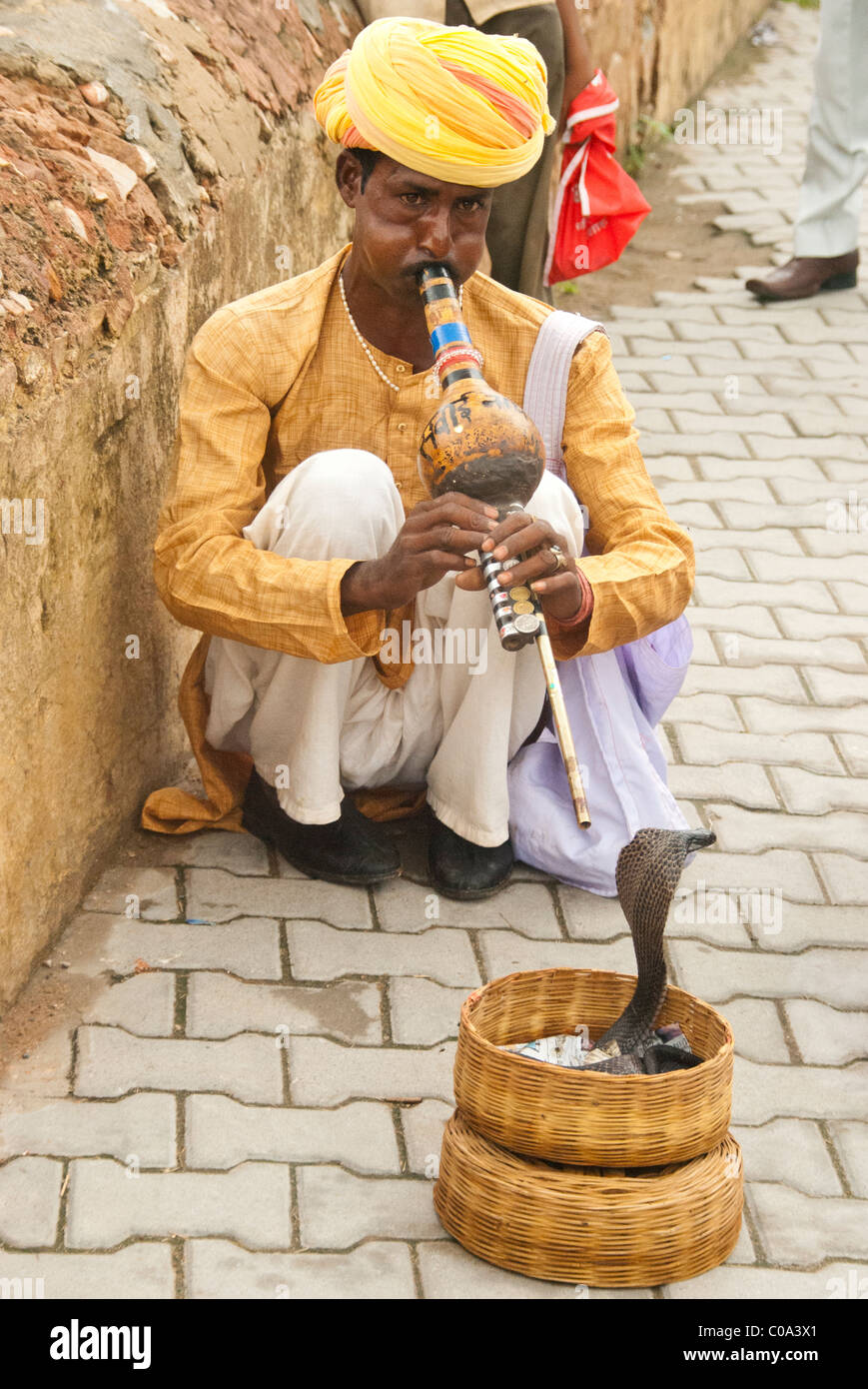 Snake charmer charming hi-res stock photography and images - Alamy
