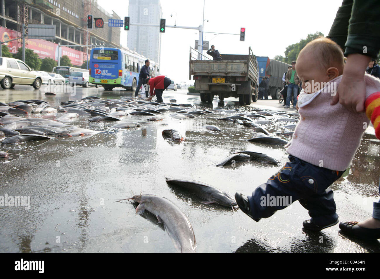 RAINING CATFISH Residents in Changsha, China were shocked to discover ...