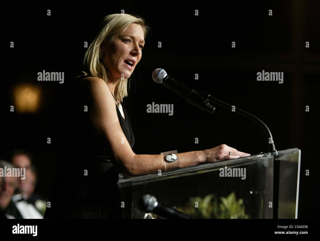 Lee Woodruff The 19th Annual Roast for Spina Bifida held at the Omni ...