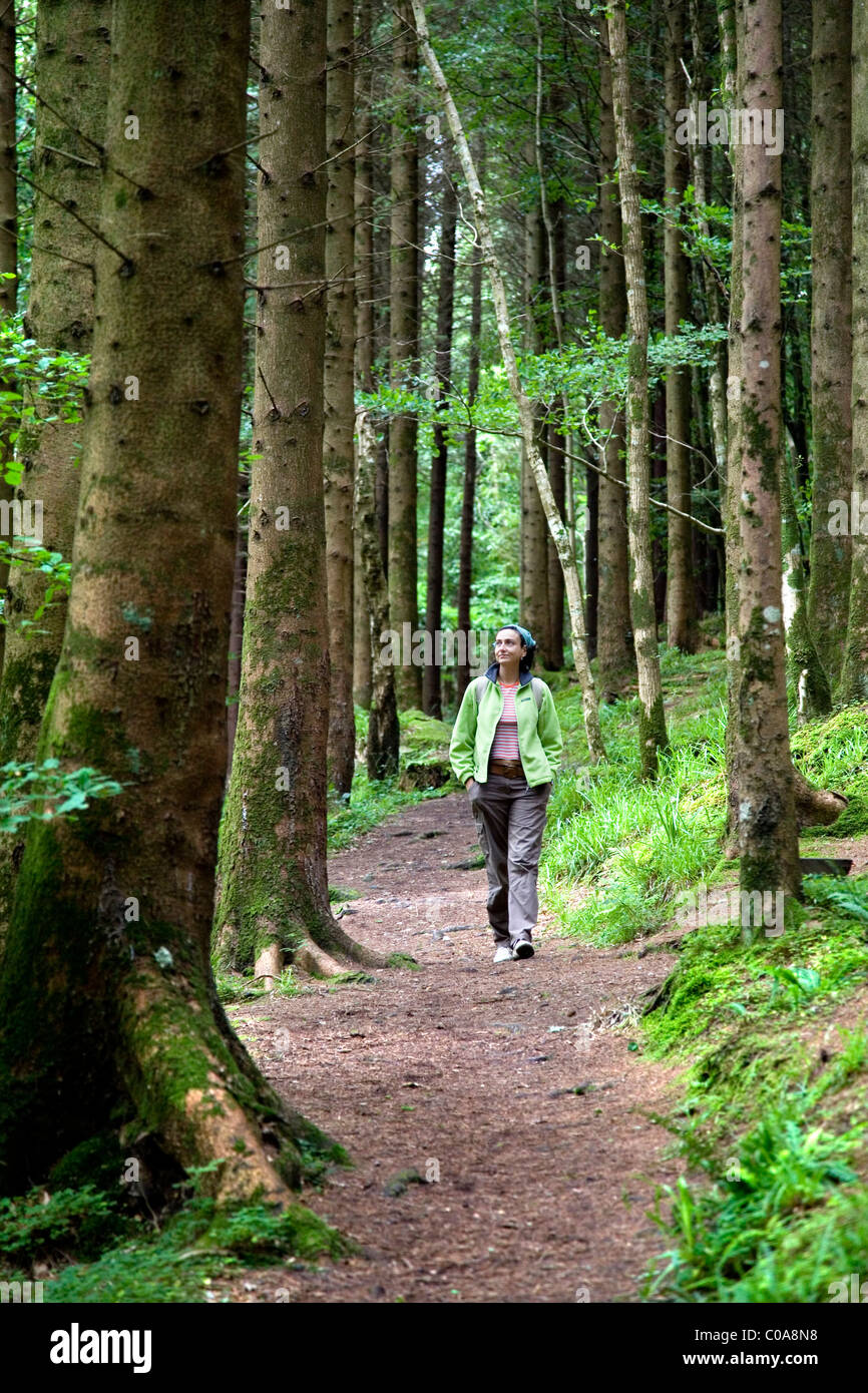 Hiker woman in Dooney Rock Forest. Near Sligo city. County Sligo ...