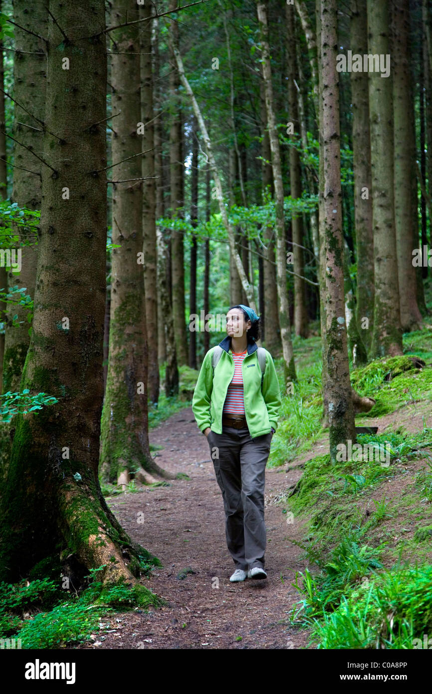 Hiker woman in Dooney Rock Forest. Near Sligo city. County Sligo ...