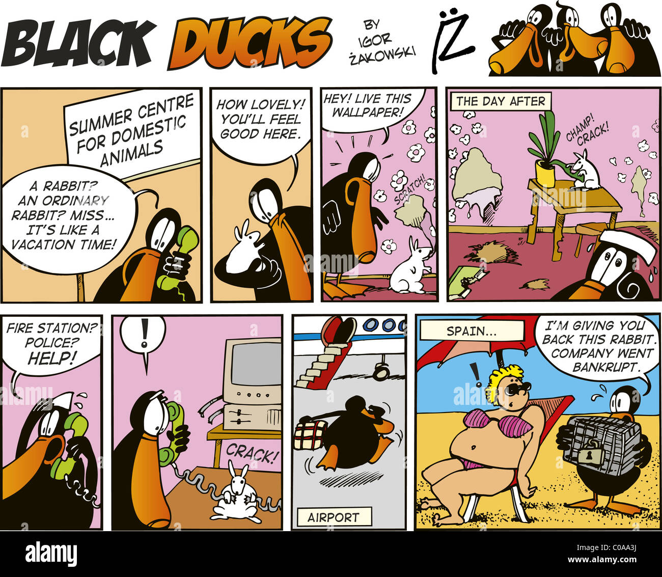 Black Ducks Comic Strip episode 52 Stock Photo - Alamy