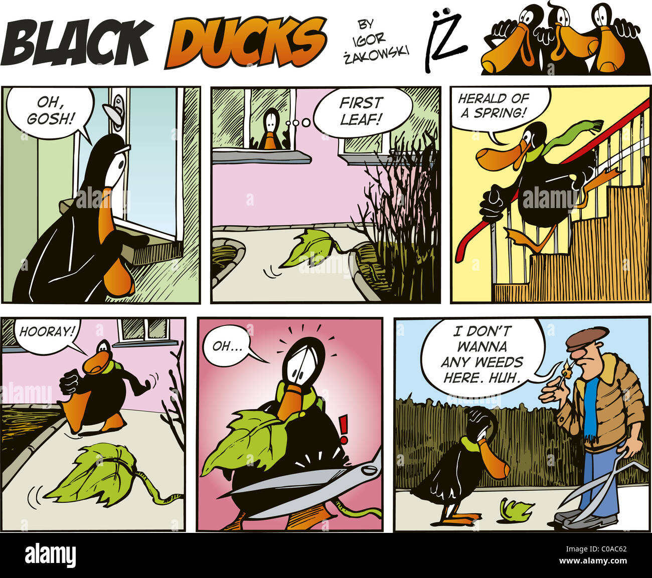 Black Ducks Comic Strip episode 61 Stock Photo - Alamy
