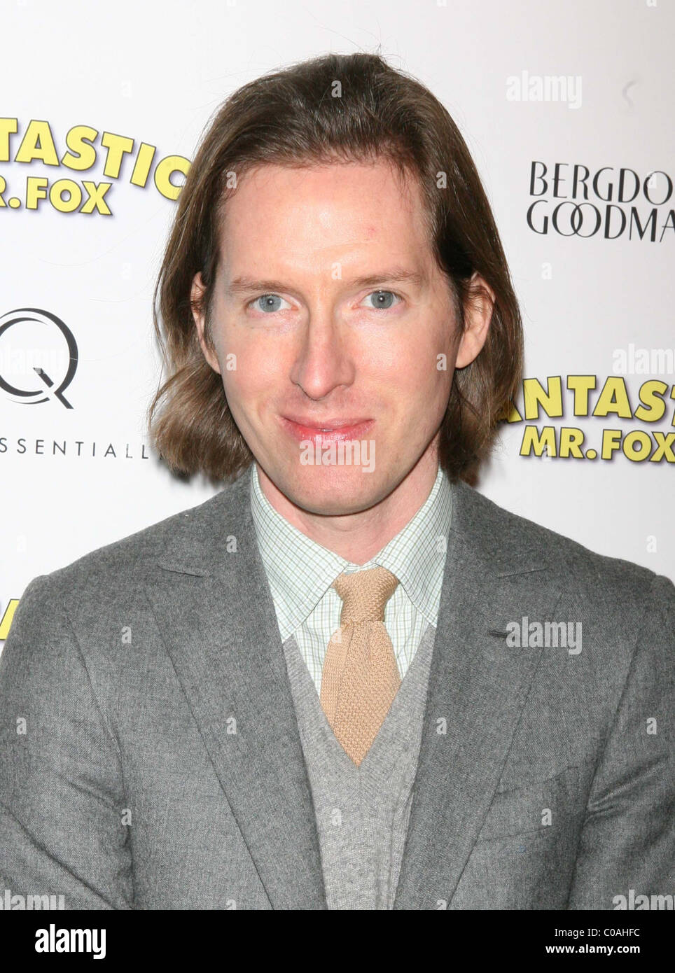 Fantastic mr fox wes anderson hi-res stock photography and images - Alamy