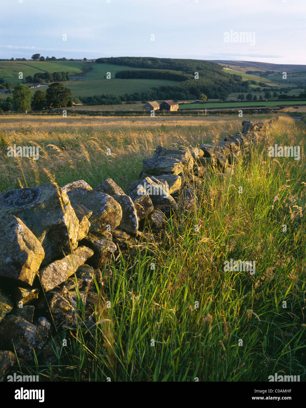 Longnor wood hi-res stock photography and images - Alamy