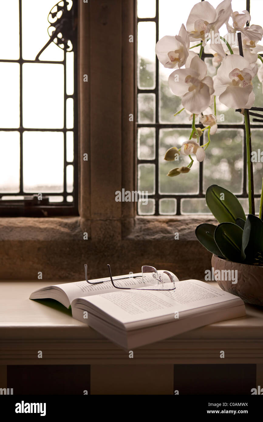 Open book and white orchids on window-ledge Stock Photo - Alamy