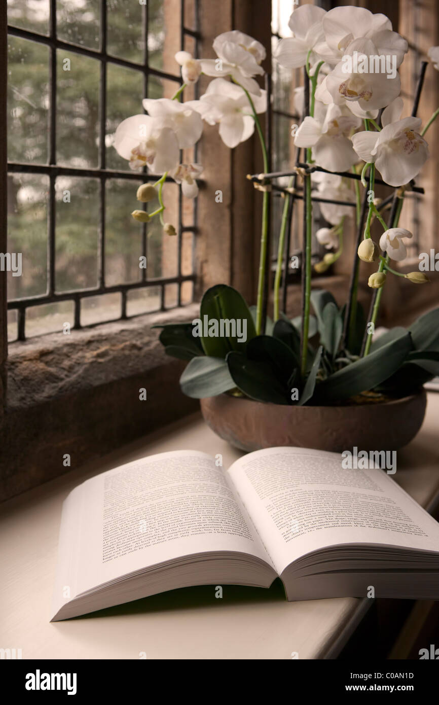Open book and bowl of orchids at window Stock Photo - Alamy