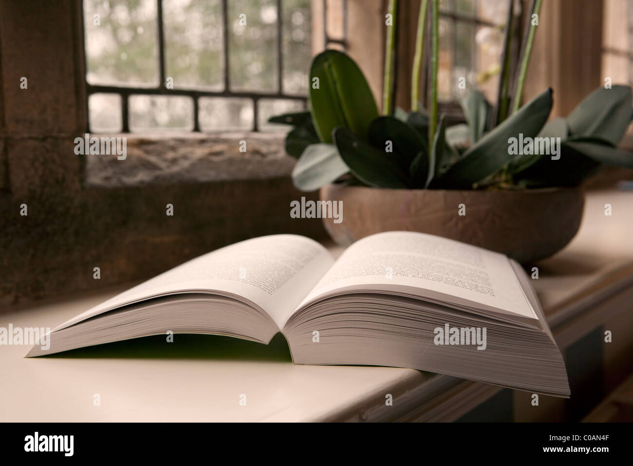 Open book on windowsill Stock Photo - Alamy