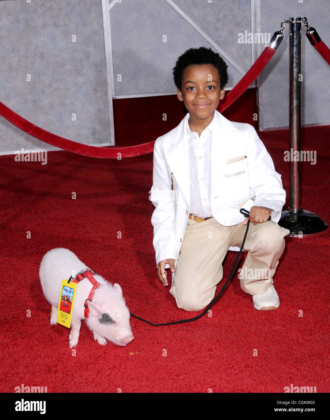 Eshaya Draper and Albert the pig Premiere of 'College Road Trip' held ...