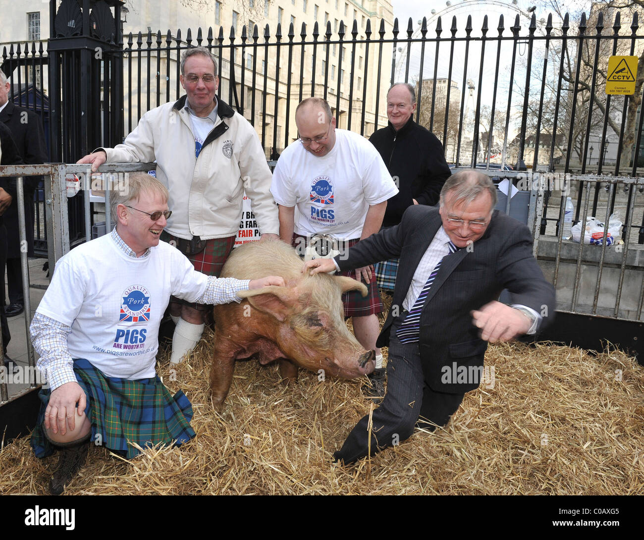 Winnie the pig gives a push to Malcolm Bruce, MP for Gordon while being ...