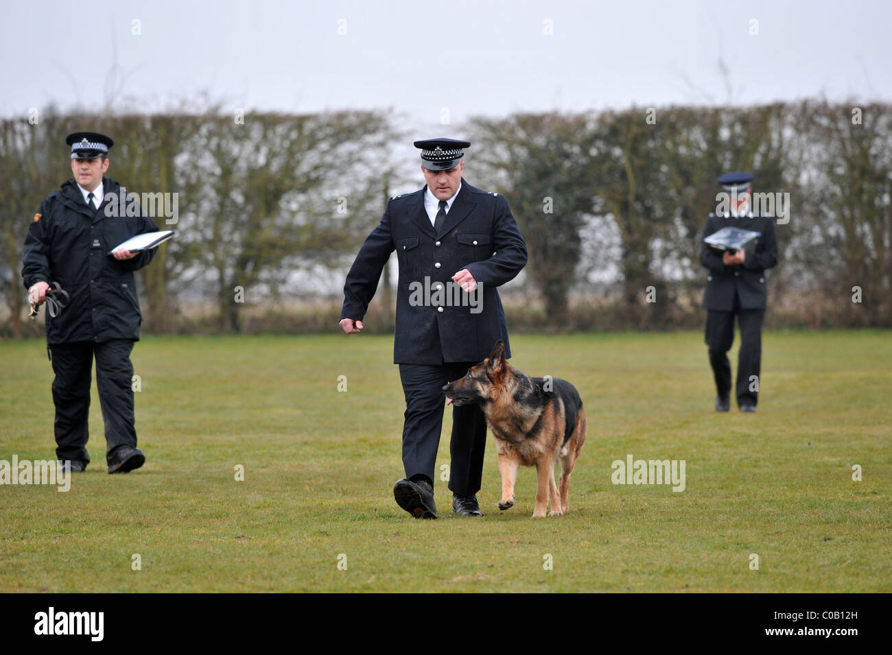 Metropolitan police dog handler hi-res stock photography and images - Alamy