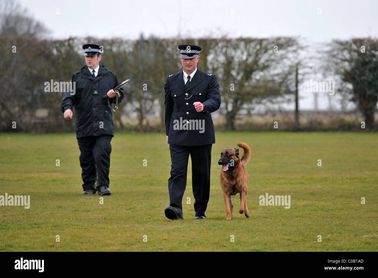 Metropolitan police dog handler hi-res stock photography and images - Alamy