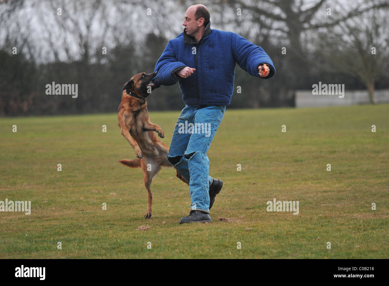 A dog & handler team competing in the London Regional Police Dog Trial ...
