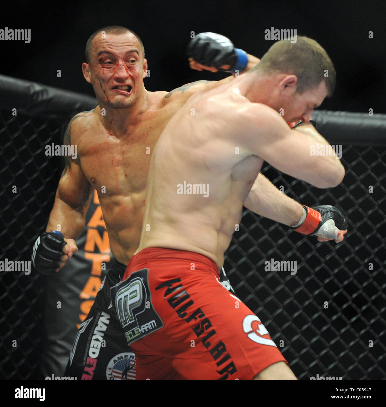 Ufc 105 hi-res stock photography and images - Alamy