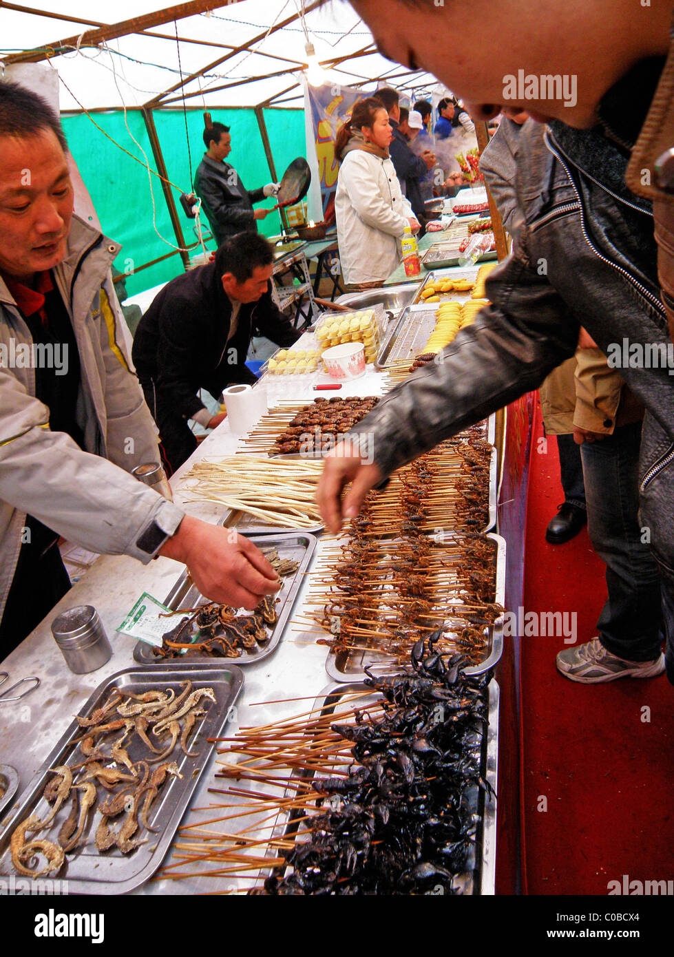 Strong stomached contestants gorge on spiders and other large insects ...