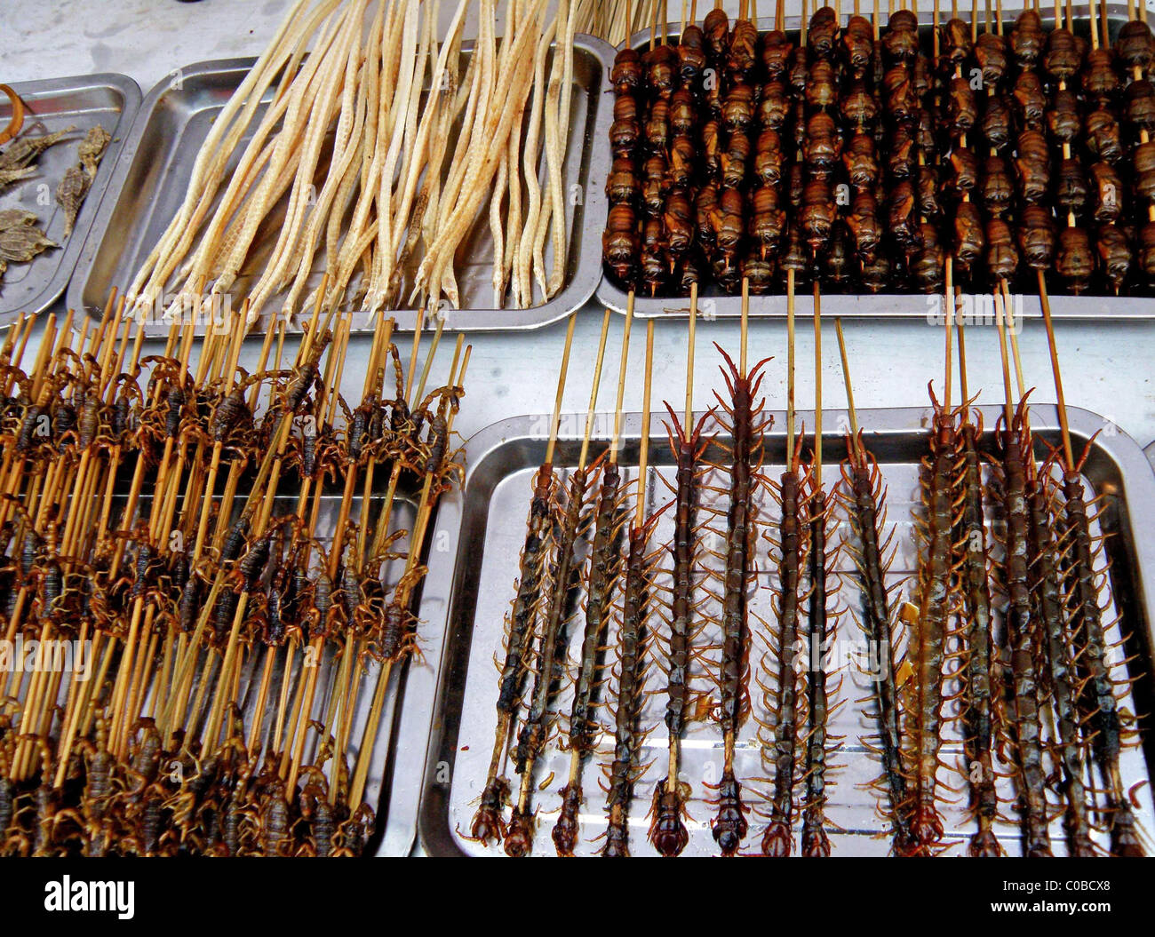 Strong stomached contestants gorge on spiders and other large insects ...