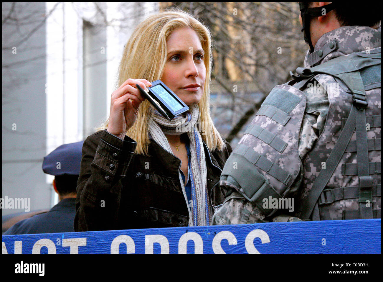 Elizabeth Mitchell V