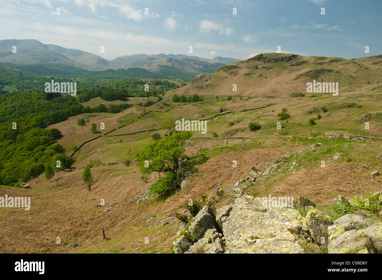 From Todd Cragg on the southern edge of Loughrigg Fell, View over River ...