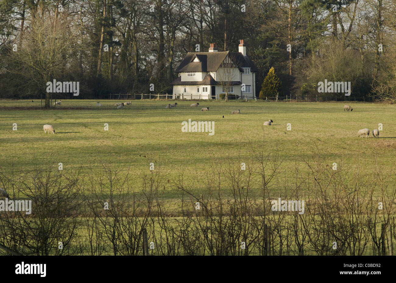 detached house field Stock Photo - Alamy