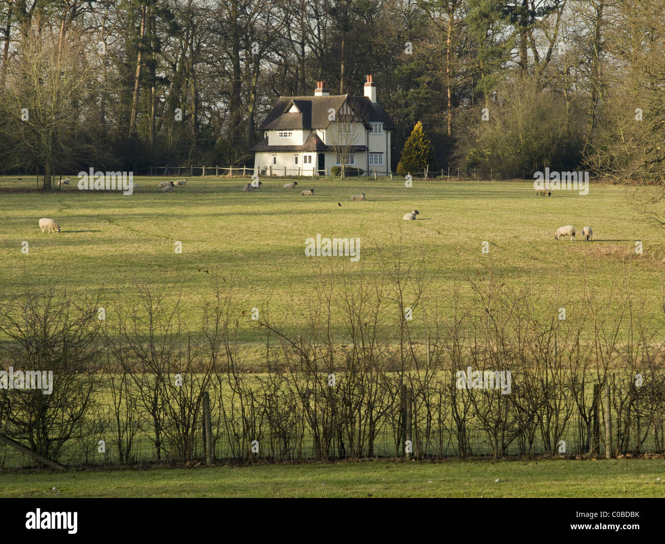 Countryside uk detached house hi-res stock photography and images - Alamy