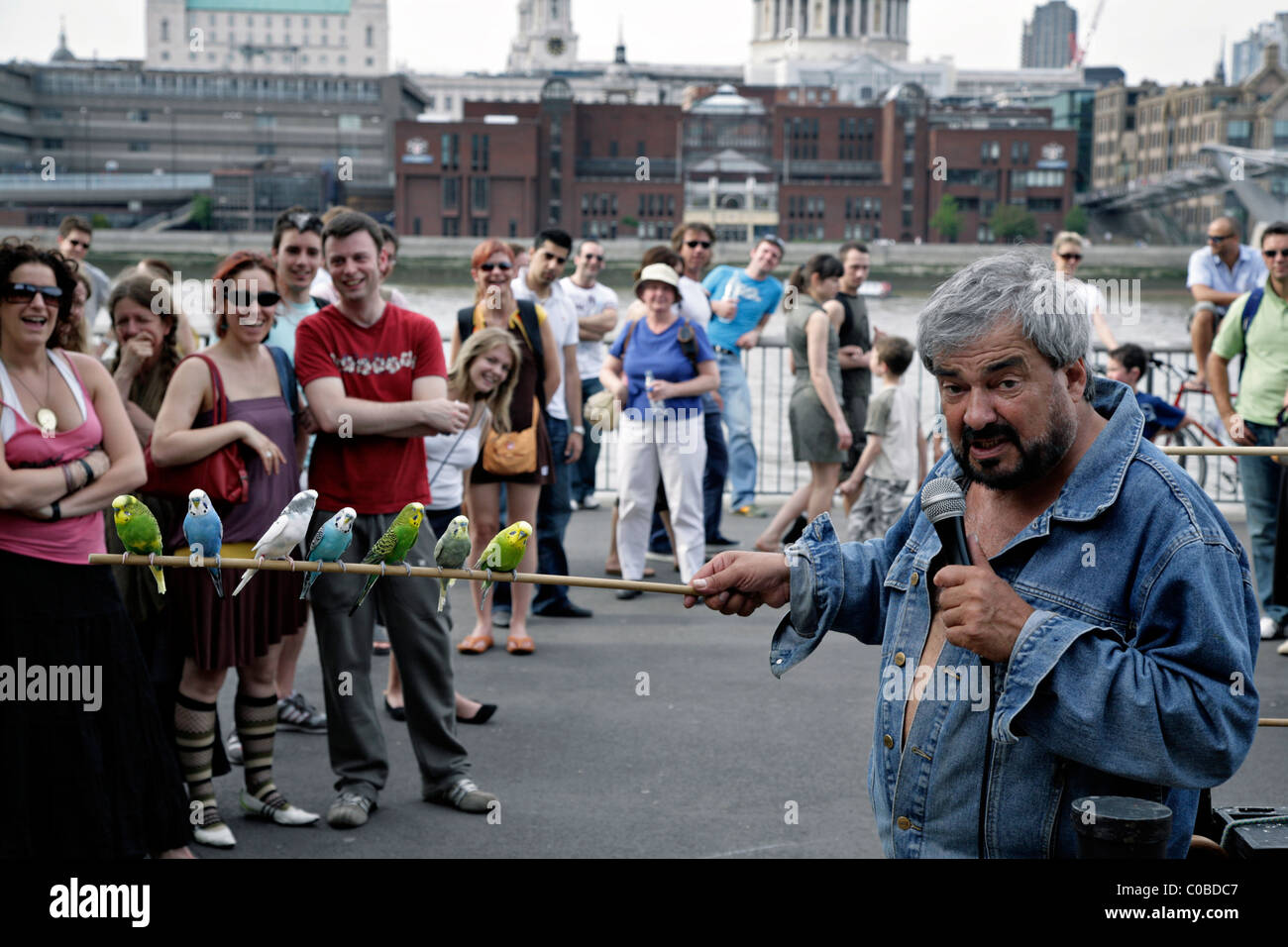 man with birds in london Stock Photo - Alamy