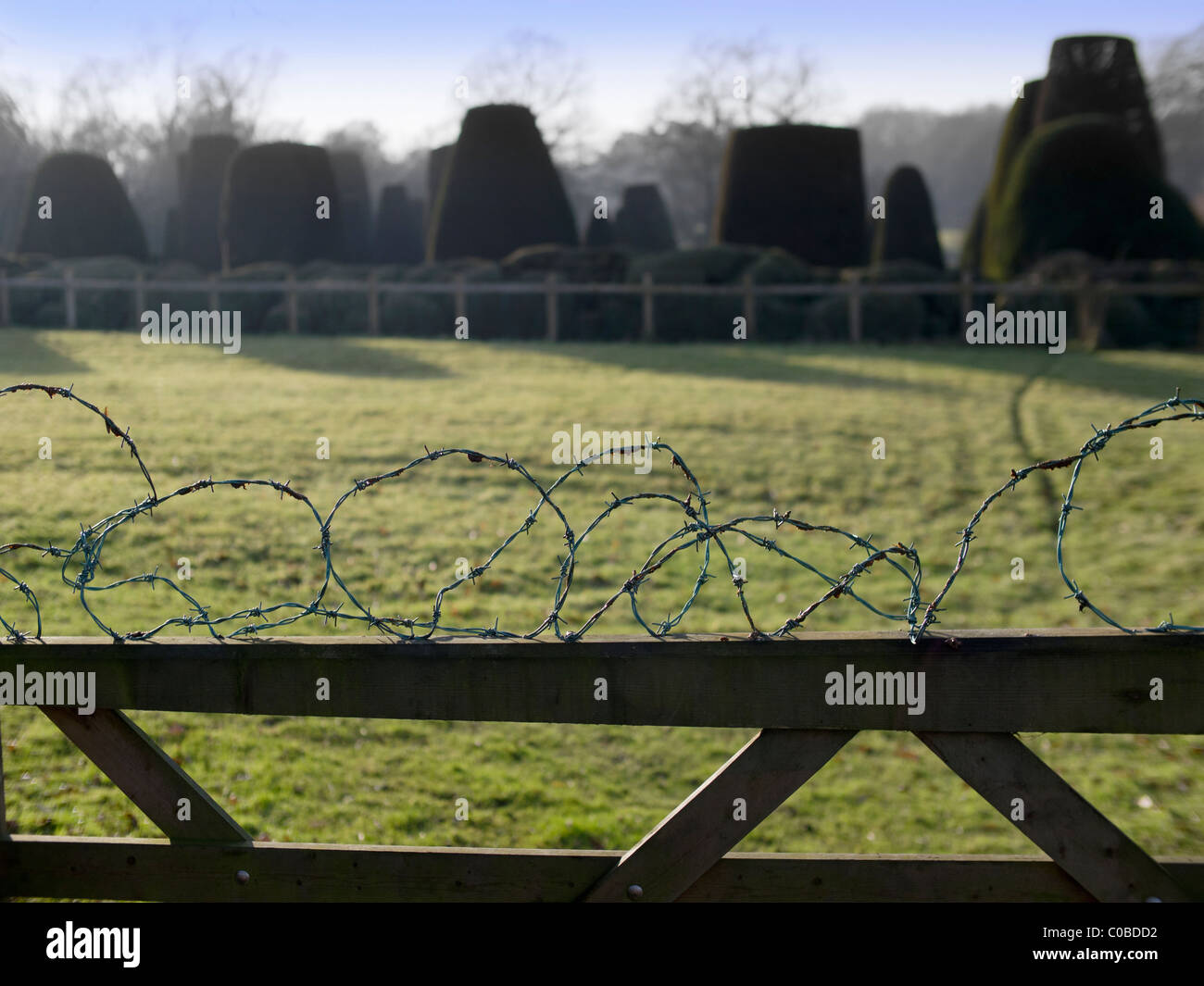 barbed wire on a gate Stock Photo - Alamy