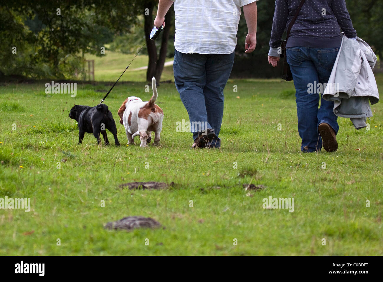 2 people walking 2 dogs hi-res stock photography and images - Alamy