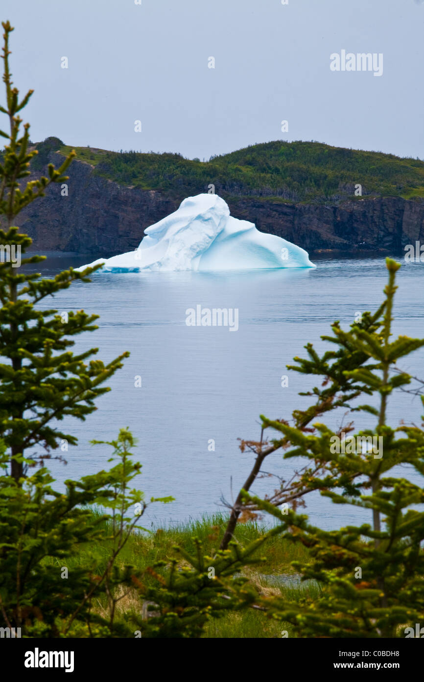 Trinity bay newfoundland canada iceberg hi-res stock photography and ...