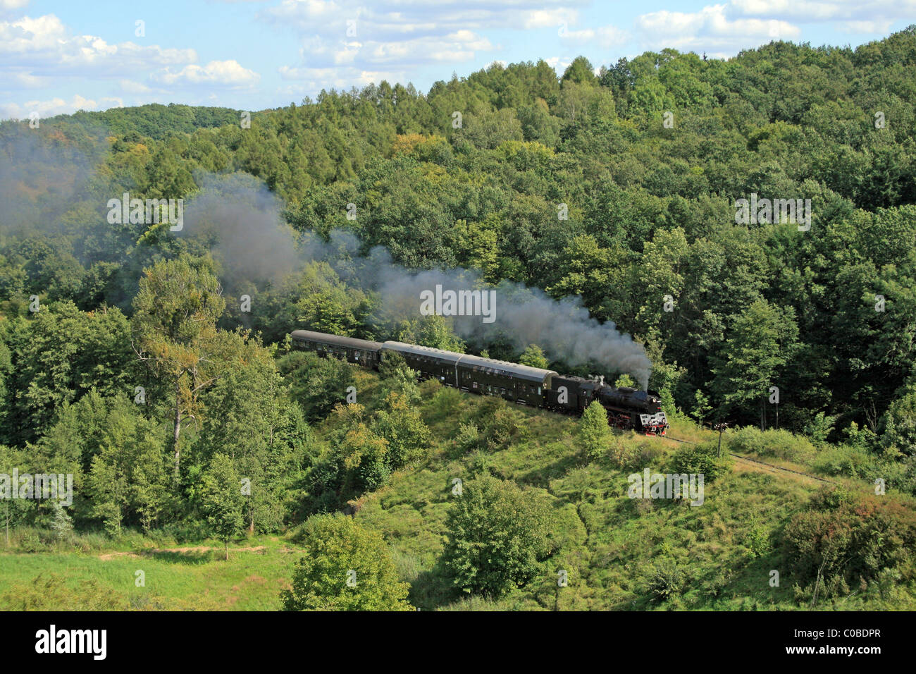 Landscape with a steam train Stock Photo - Alamy