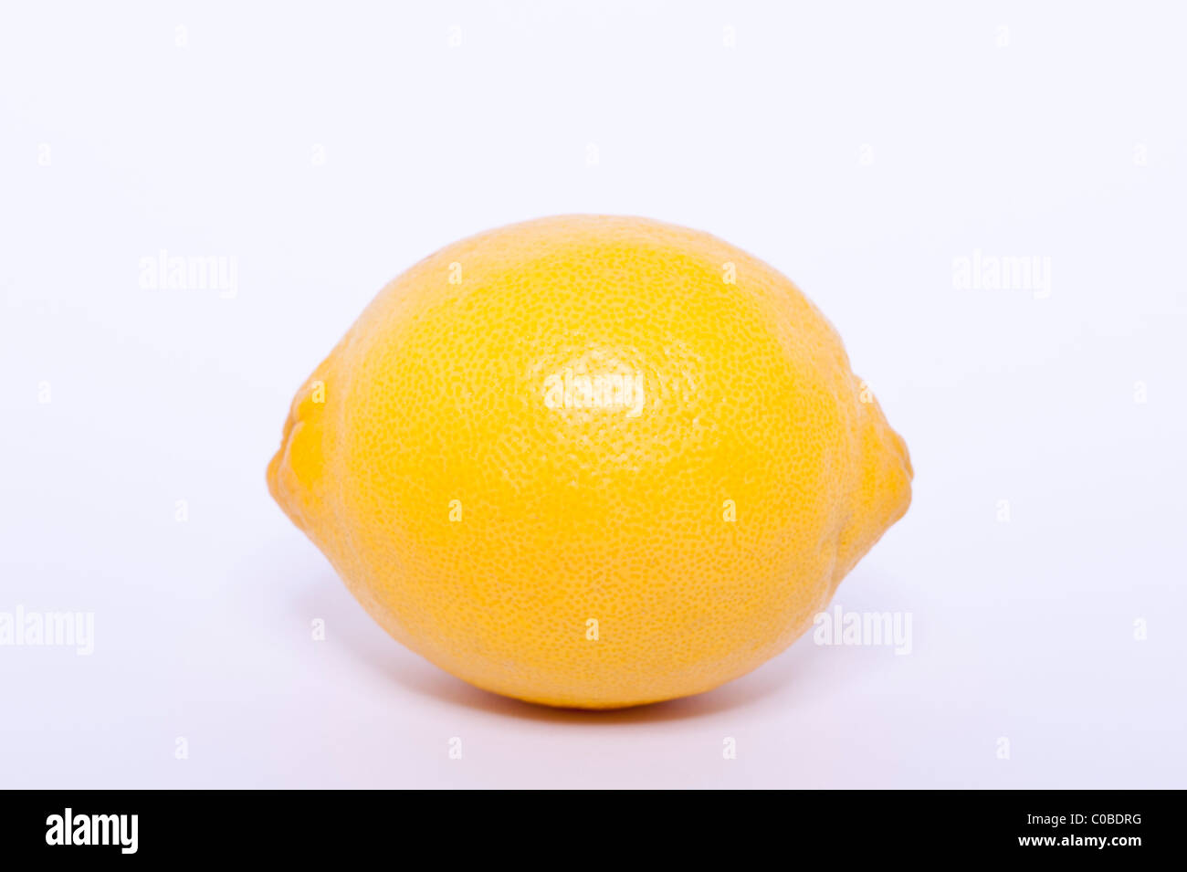 A lemon fruit on a white background Stock Photo - Alamy