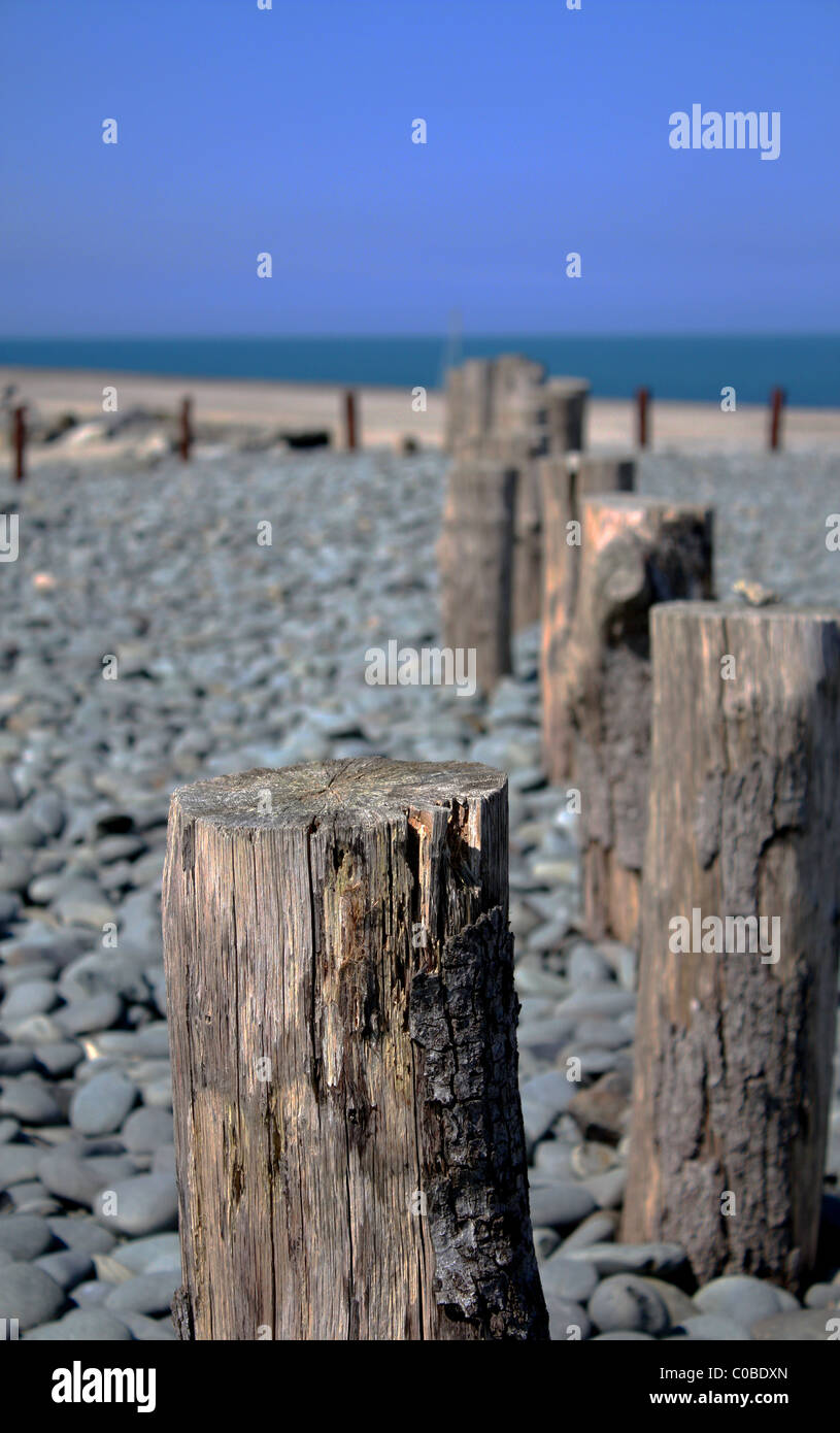 Wooden poles on the beach Stock Photo - Alamy