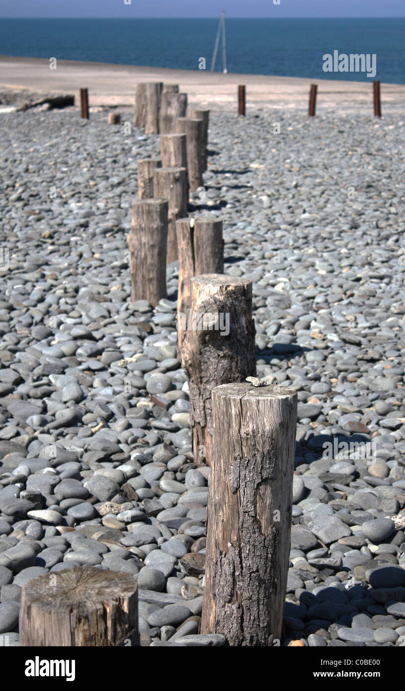 Wooden poles on the beach Stock Photo - Alamy