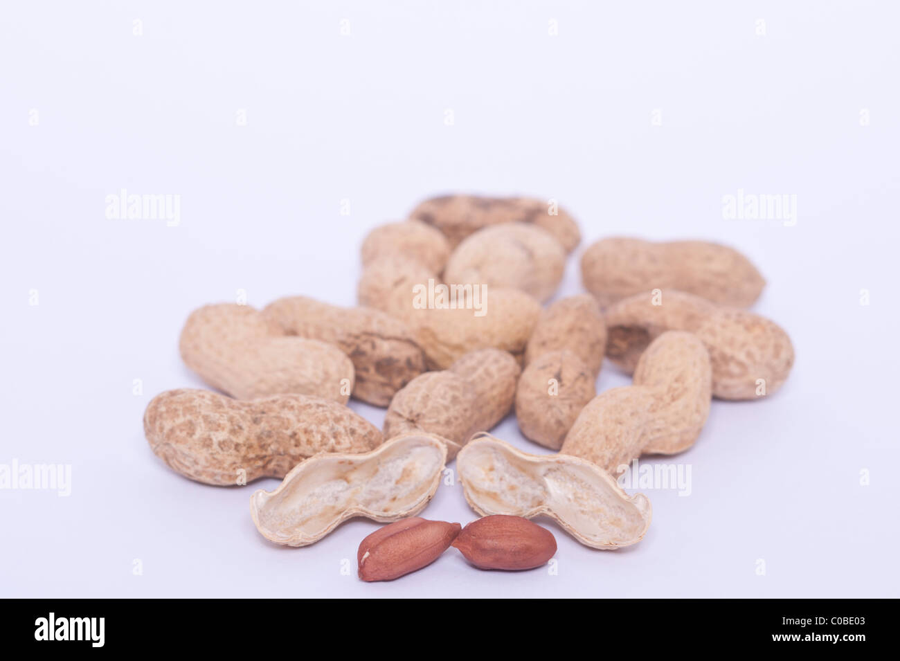 Some monkey nuts ( peanuts in shells ) on a white background Stock ...