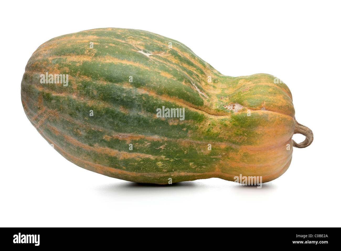 Calabash pumpkin isolated on the white background Stock Photo - Alamy