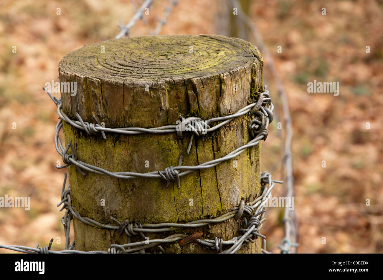 Barbed wire fence post Stock Photo - Alamy