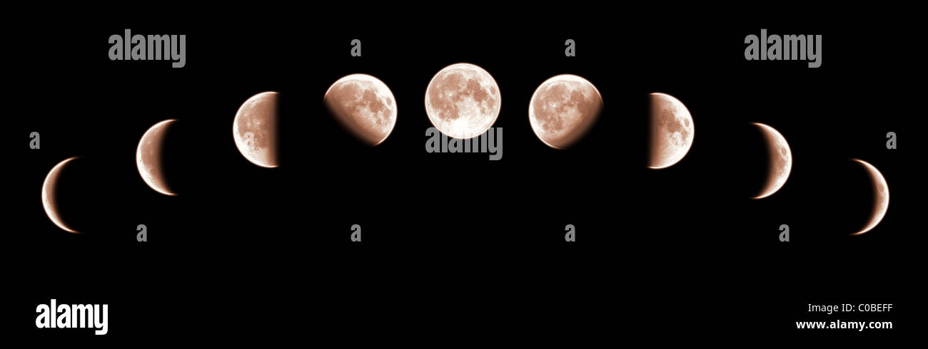 Nine phases of the full growth cycle of the moon isolated on black ...