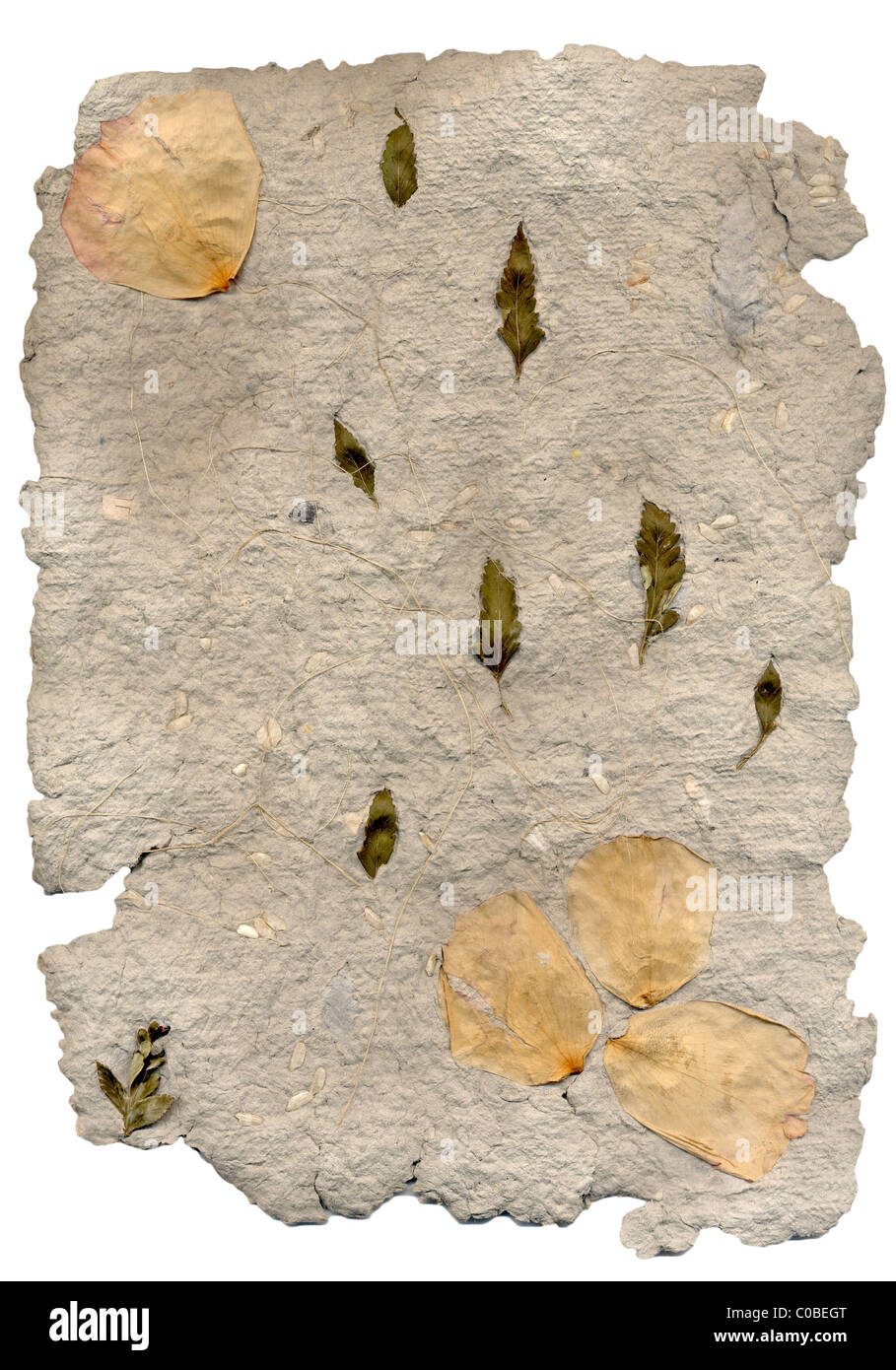 Hand made paper isolated on white background Stock Photo - Alamy