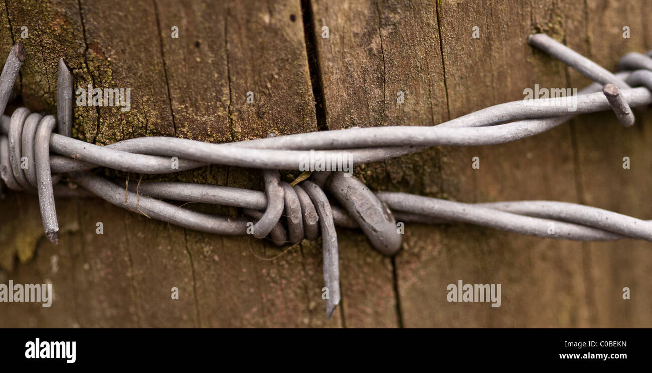 Barbed wire and fence post hi-res stock photography and images - Alamy