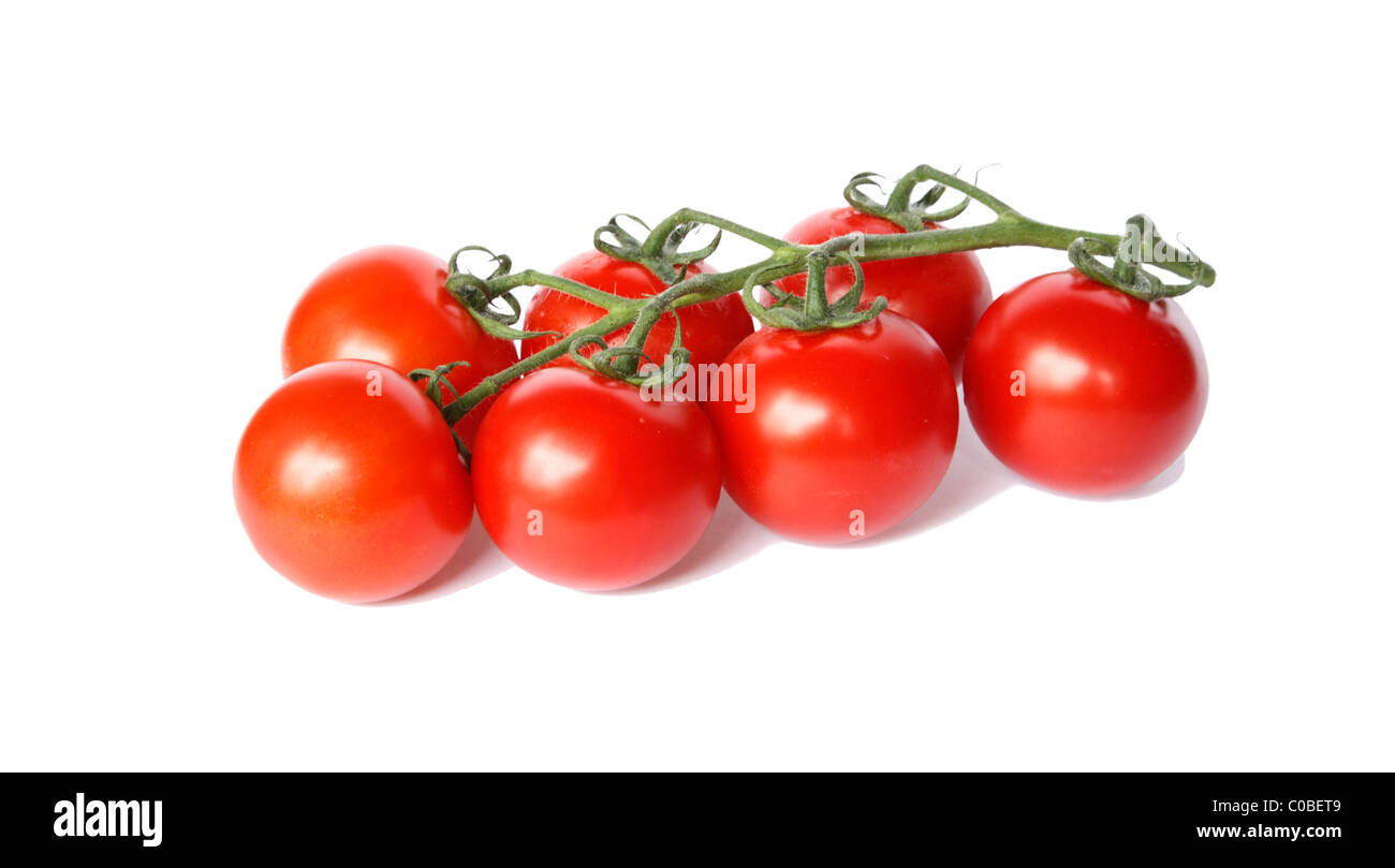 Vines europe Cut Out Stock Images & Pictures - Alamy