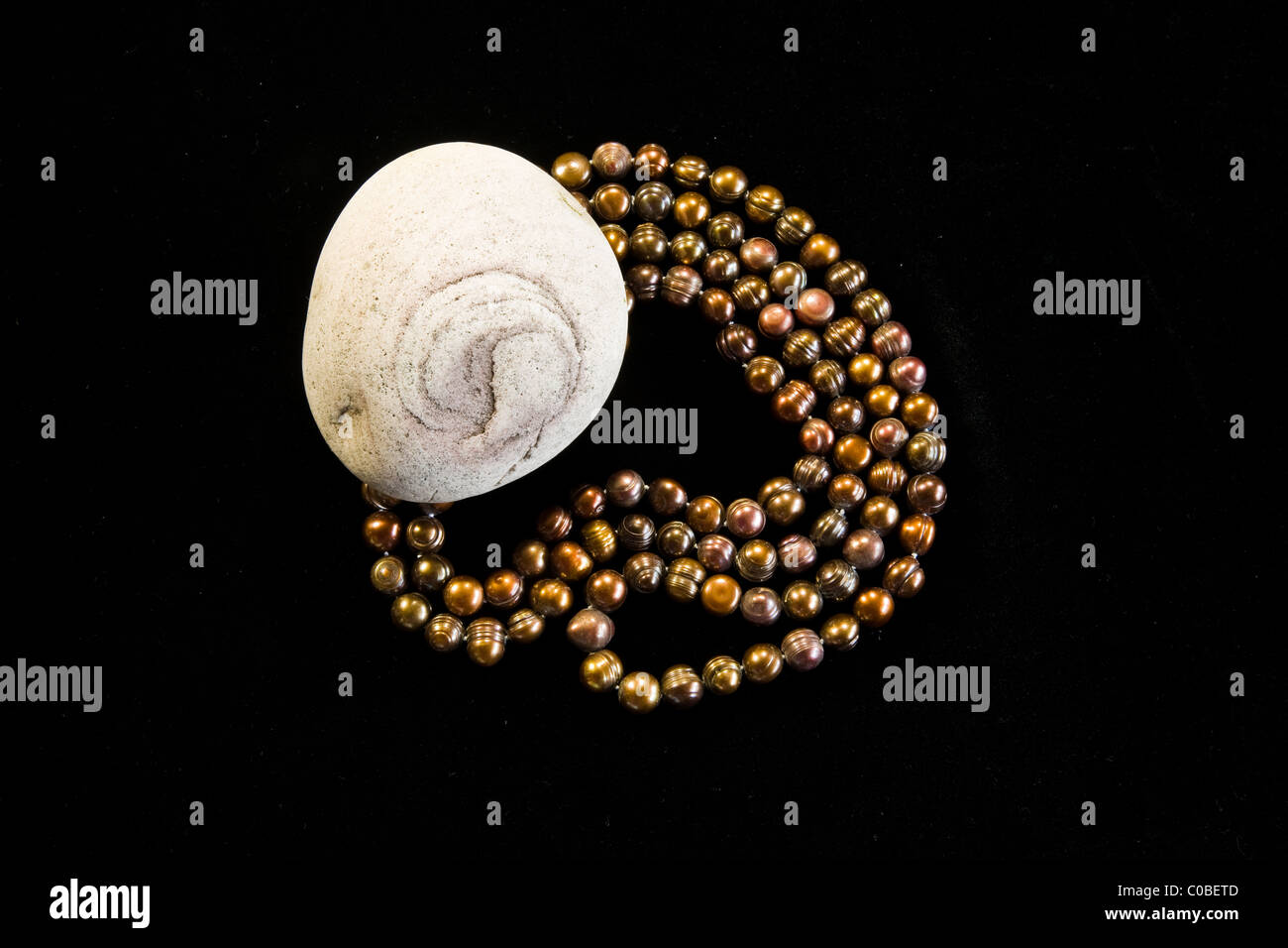 Rock oyster on a rock hi-res stock photography and images - Alamy